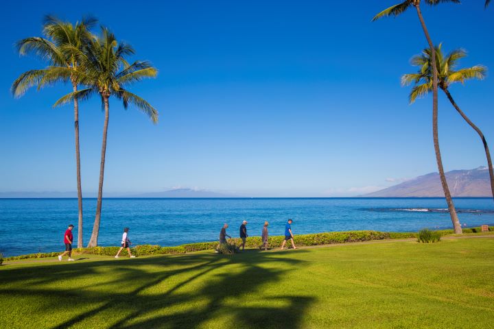 Wailea Elua Village | Beachfront Luxury Resort Ulua Beach | Maui